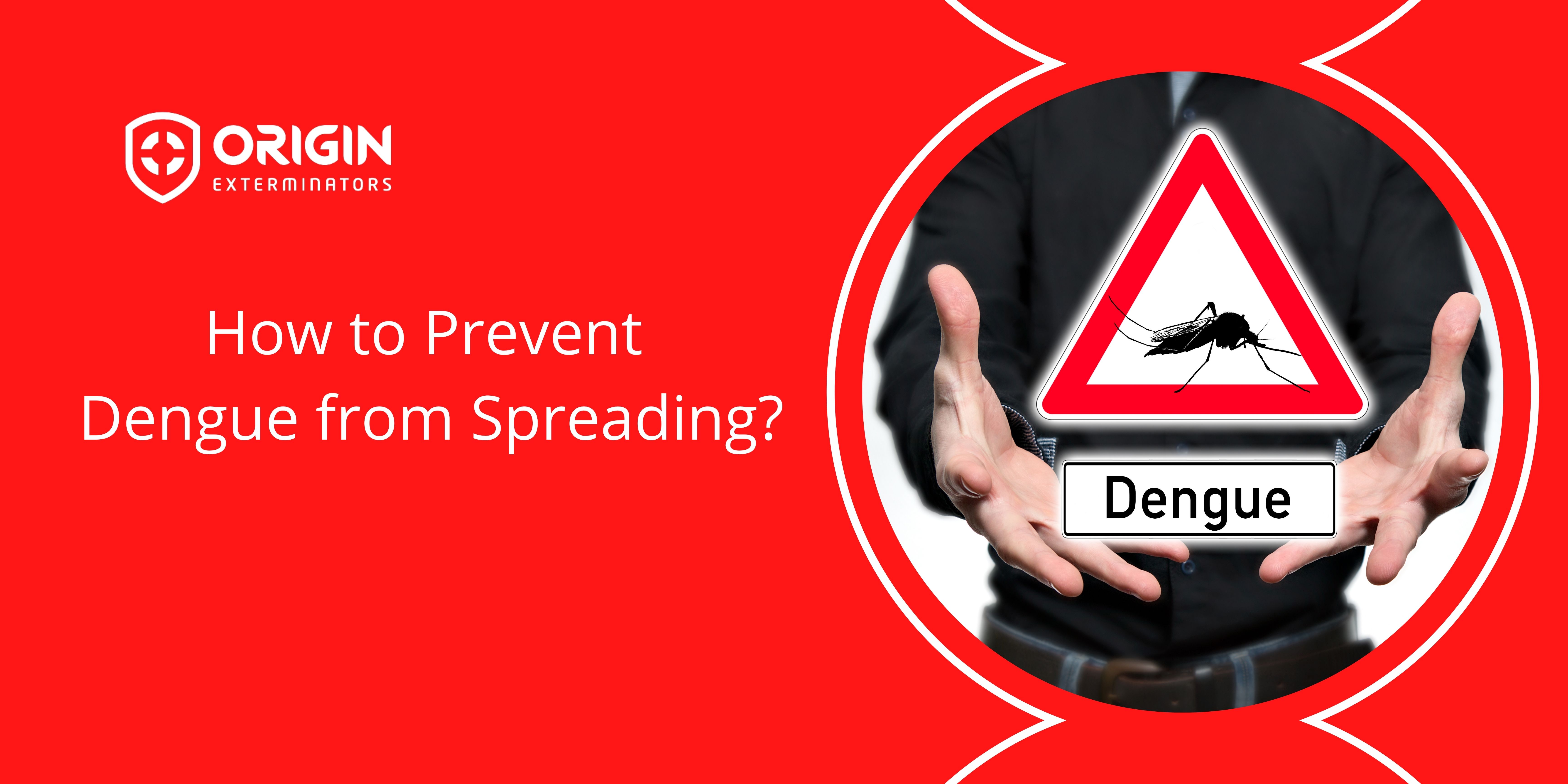 How To Prevent Dengue From Spreading 